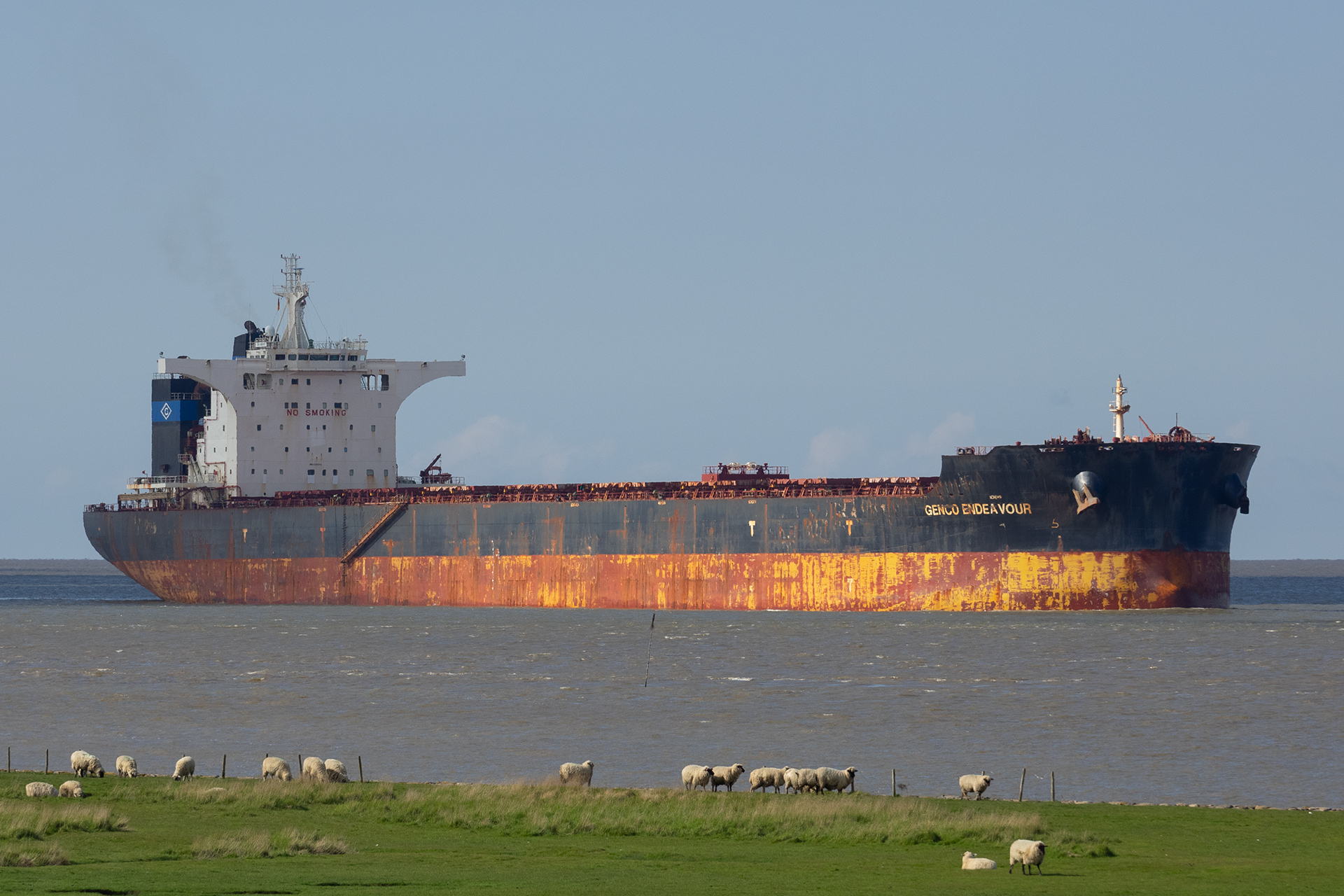 Schiffe vor Cuxhaven