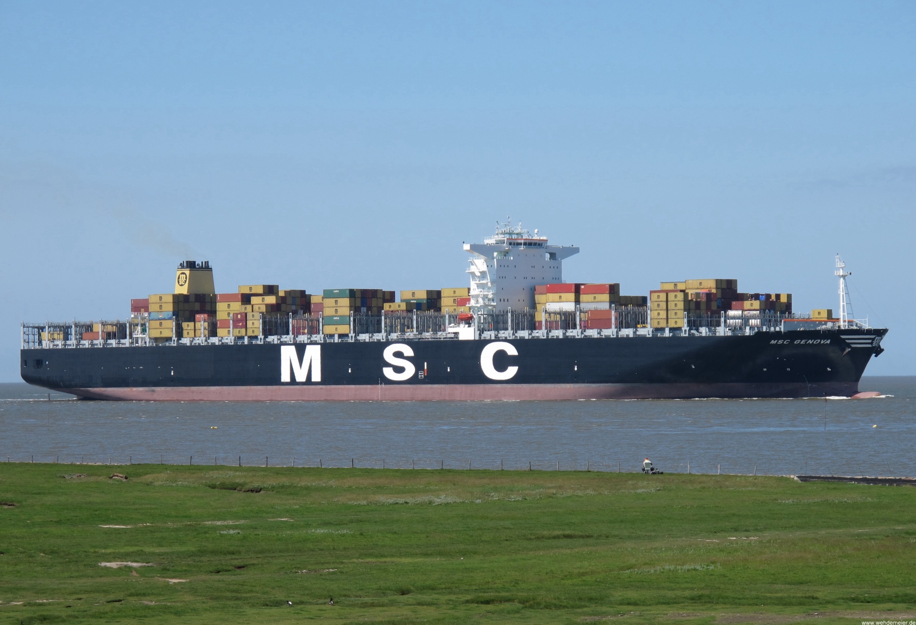 MSC Genova