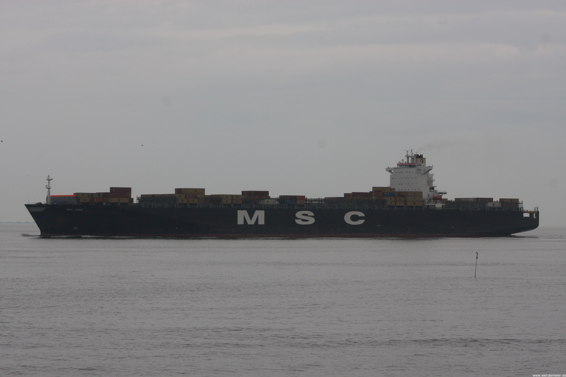 MSC Ines